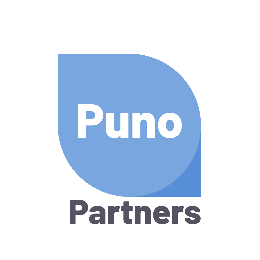 Portfolio | Puno Partners